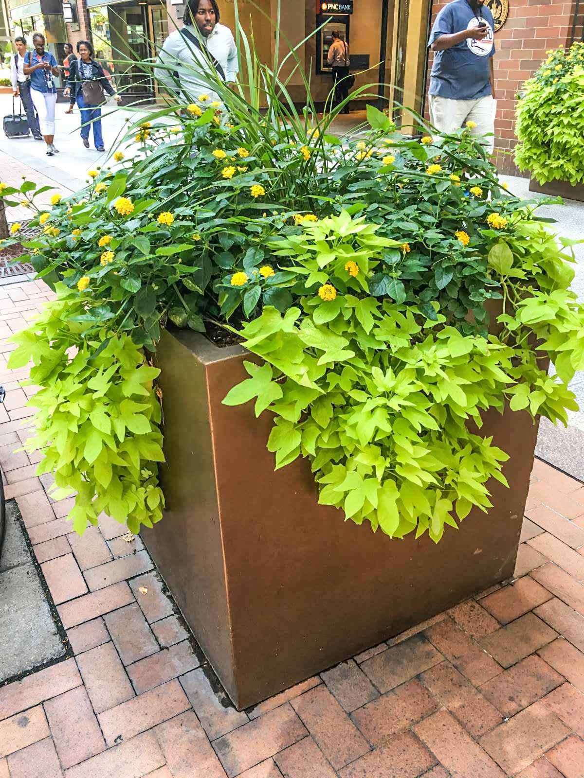 Exterior - Parker Plants & Holiday